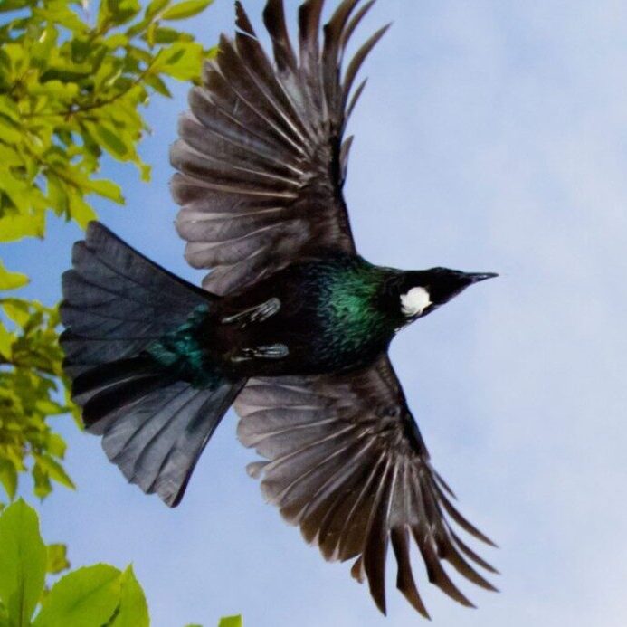 Affordable STEAM-based Holiday Programmes for Kids 5-13yrs